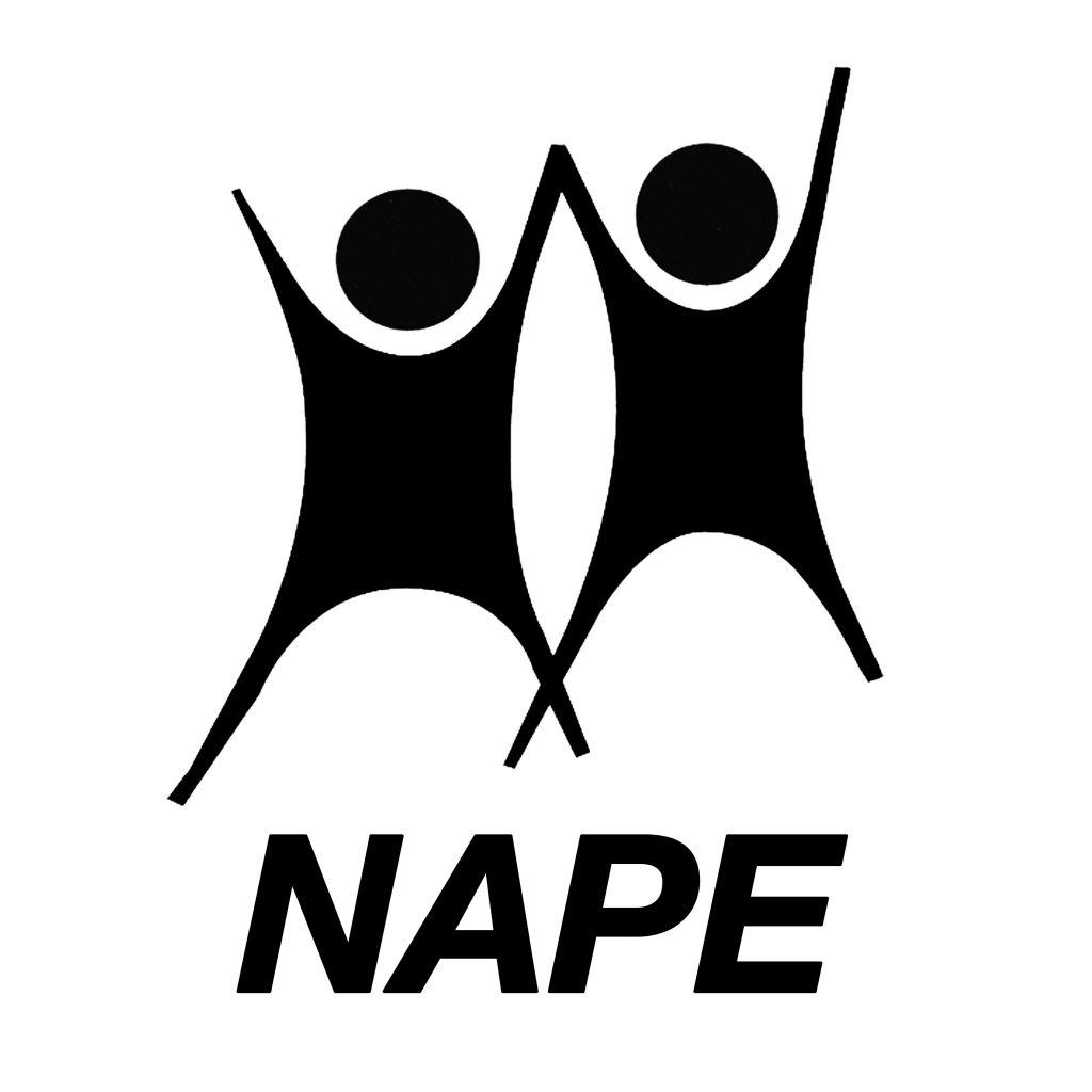 019 : Nape Computing EdTech Conference - Education On Fire